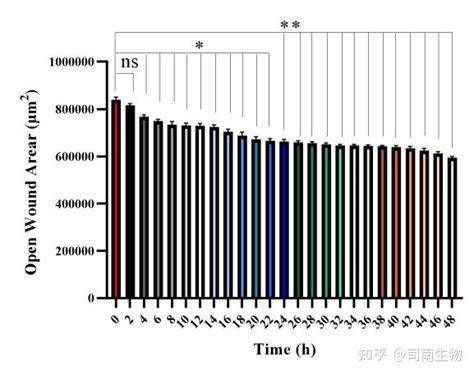 Lca实验——动态细胞迁移 知乎