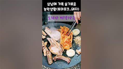 삼남매 가족 슬기로운 농막생활토마호크돼지 볶음밥 하트 서비스 Shorts 귀여운 아기 육아 삼남매 돼지고기 맛집 캠핑 효과 볶음김치 최고 Youtube