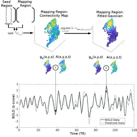3d Connective Field Modeling A Gaussian Fitting Procedure Each Seed