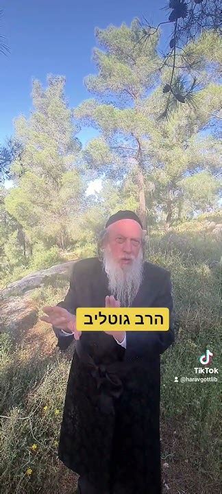 פרשת השבוע תזריע לידת בן או בת הרב גוטליב Youtube