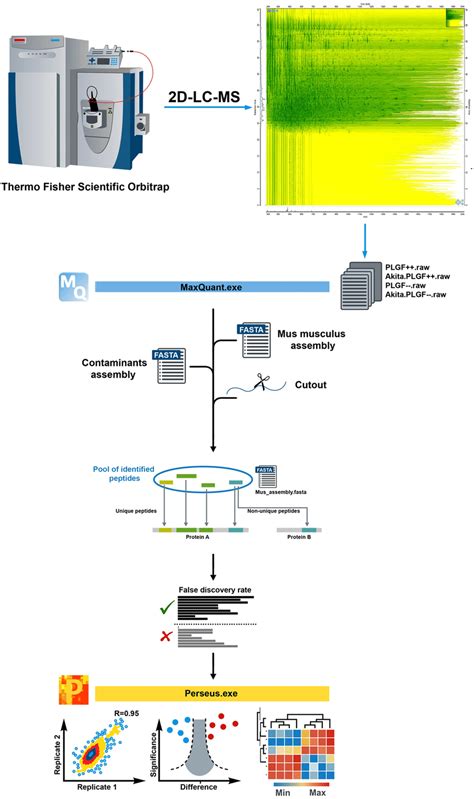 The Overall Workflow Of Our Proteomics Data Analysis The Mass Spectral