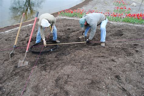 Project Gallery Landscape Edging Lawn Edging Paver EdgingLandscape Edging Lawn Edging