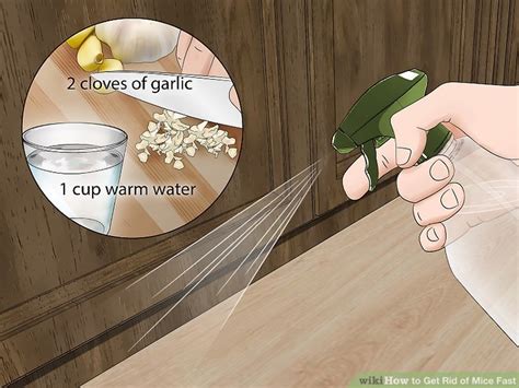 3 Ways To Get Rid Of Mice Fast WikiHow 3 Ways To Get Rid Of Mice Fast WikiHow