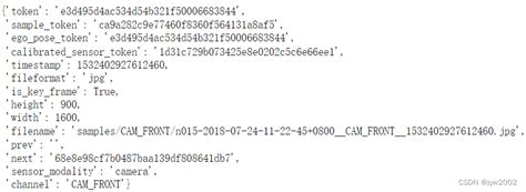Nusences 数据集解析以及 Nuscenes Devkit 的使用nuscenes Devkit Csdn博客