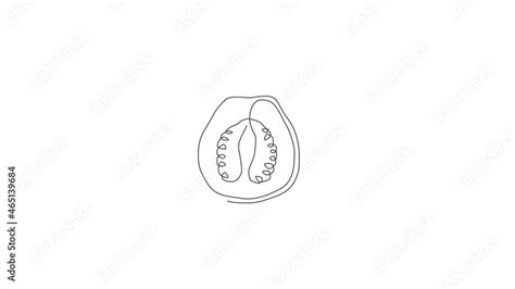 Animation Of One Line Drawing Half Sliced Healthy Organic Java Guava