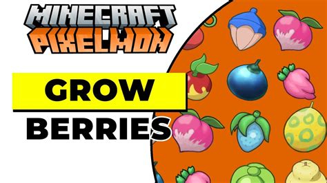 How To Grow Berries In Pixelmon 1165 Quick And Easy Youtube