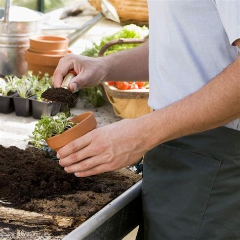 Doff Peat Free Multipurpose Premium Eco Friendly Compost 15l F Wa O00