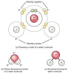 Water Diagram Quizlet