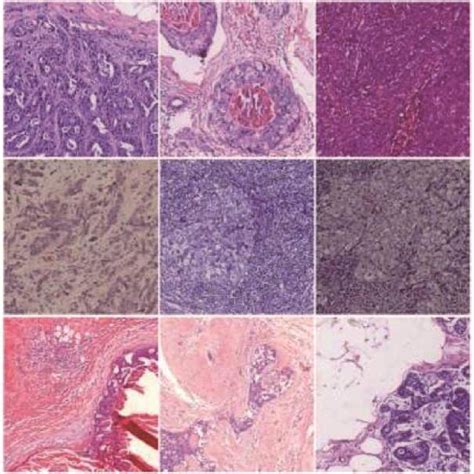 中国图象图形学报