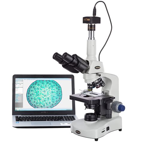 Amscope 40x 2000x 3w Led Siedentopf Trinocular Compound Microscope 1 Microscope Central