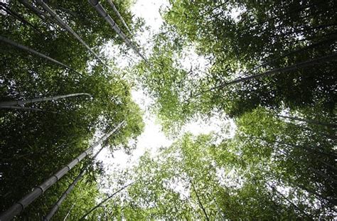 Why Inductive Vs Capacitive Load Matters In Electronics Flammability Testing Equipment