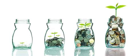What Is Savingelaborate Answer And Expert Advice
