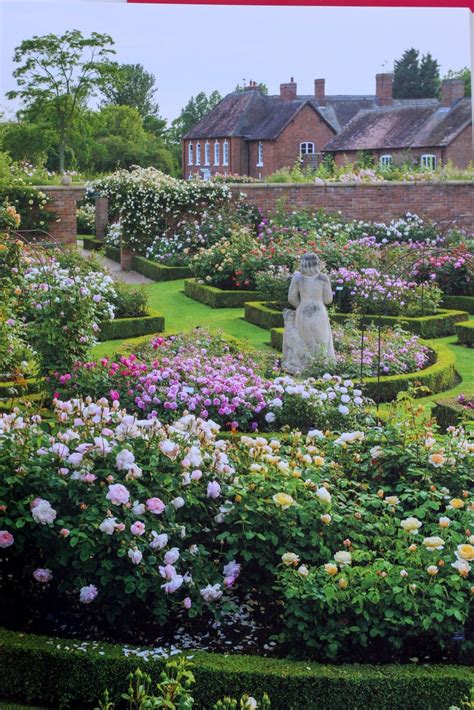 Aiken House And Gardens David Austin English Roses