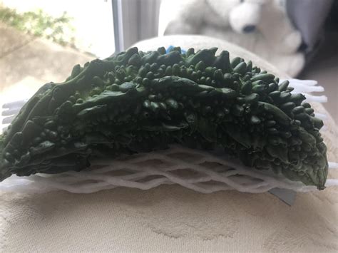 Green Highly Bumpy Fruit R Whatsthisplant