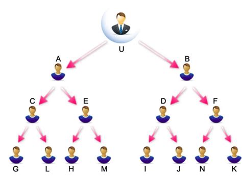 Web Design And Mlm Software Company India App Developers India