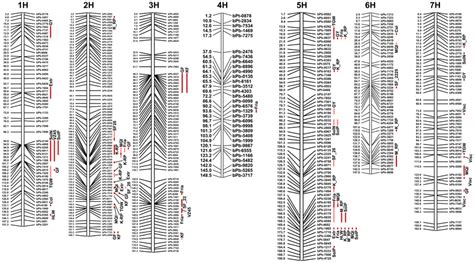 Barley Consensus Map With Dart Markers Significantly Associated With Download Scientific