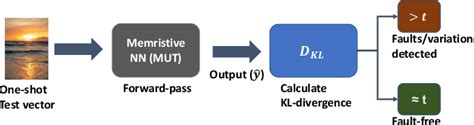 One Shot Online Testing Of Deep Neural Networks Based On Distribution