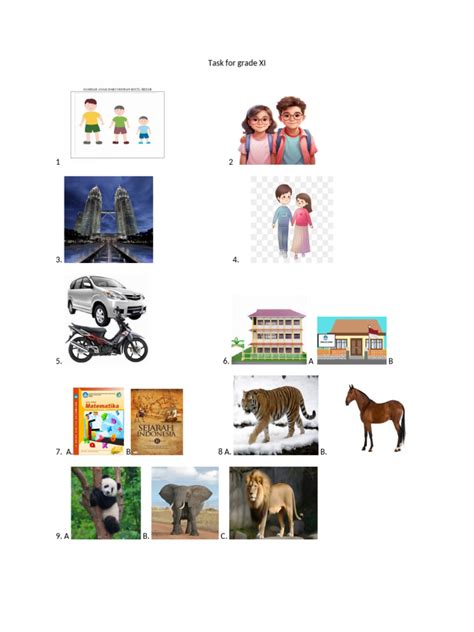 Exercise For Class Xi Pdf