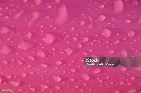 분홍색 색깔 아이들의 팽창식 공에 여름 비 후에 물의 물방울 건강한 생활방식에 대한 스톡 사진 및 기타 이미지 건강한 생활방식 과학 금속의 Istock