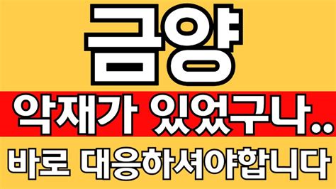 금양 주가전망 이건 확인하셔야합니다 큰일이네 김프로금양2차전지4695 Youtube
