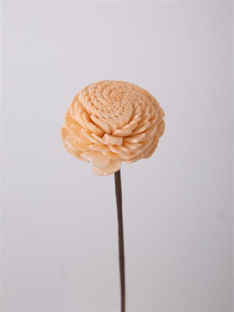 Пшениця вибілена біла купити в Україні за низькою ціною • Dfb Elements