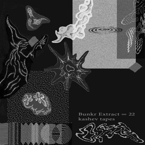 Stream Bunkr Extract ∞22 W Org By Kashev Tapes Listen Online For Free On Soundcloud