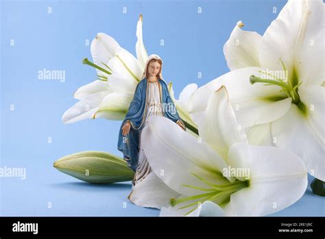 Assumption Of Mary Day Virgin Mary Figurine With Lily Flowers Stock