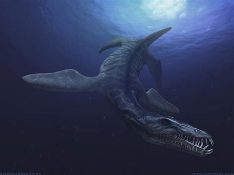 The 10 Weirdest Dinosaurs You Never Knew Existed Educ