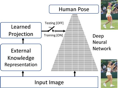 Figure 1 From Knowledge Guided Deep Fractal Neural Networks For Human Pose Estimation Semantic