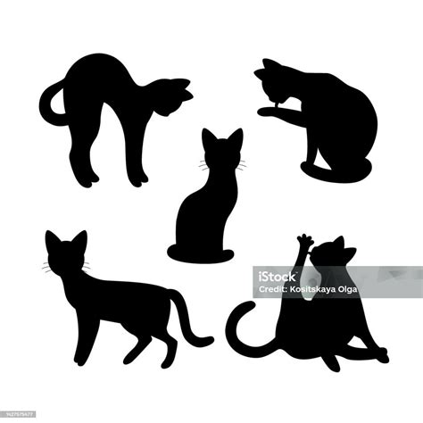고양이의 실루엣 세트 흰색 배경에 서서 앉아서 씻고 고양이를 연주하는 고립 된 검은 실루엣 애완고양이에 대한 스톡 벡터 아트 및 기타 이미지 Istock