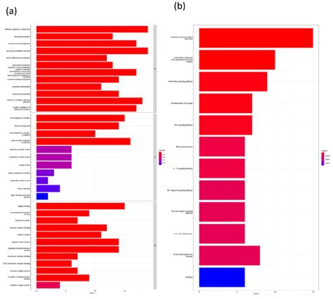 Functional Enrichment Analysis Of Intersecting Genes A Top 12