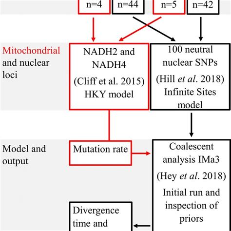 Locations Of Gsd High Elevation Blue Circle And Gsd Ee Low Download Scientific Diagram