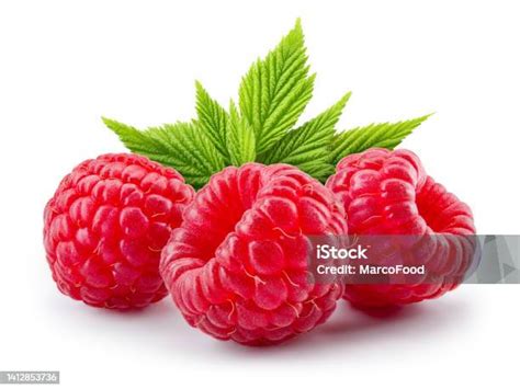 Raspberry Isolated Red Raspberries With Green Leaf Isolate Raspberry With Leaves Isolated On
