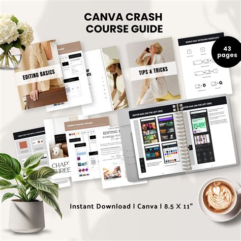 Canva Crash Course Guide Canva 101 Tutorial Guide Canva Cheat Sheet How