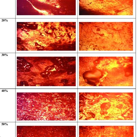 Micrographs Of Composite Microstructure Download Scientific Diagram