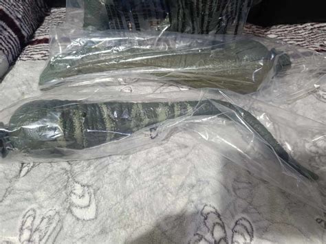 Jurassic World Legacy Collection Apatosaurus By Mattel On Carousell