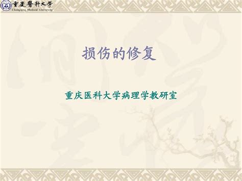 损伤的修复word文档在线阅读与下载无忧文档 损伤的修复word文档在线阅读与下载无忧文档