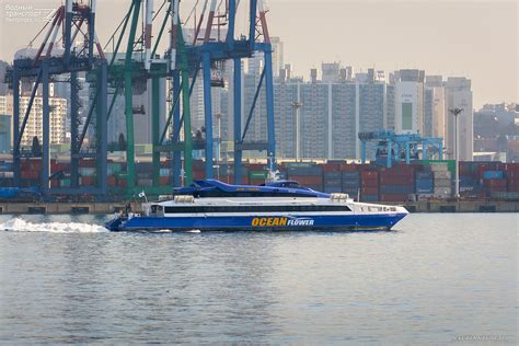 Ocean Flower — Фото — Водный транспорт