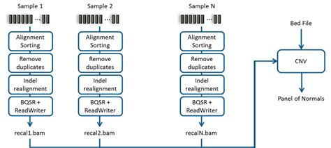 Copy Number Variant — Sentieon Appnotes 20250301 Documentation
