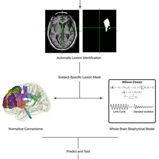 FIGURE Workflow Illustrating The Comprehensive Approach Proposed In The Download Scientific