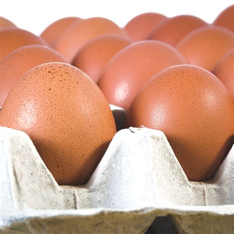 Barnevelder Eggs