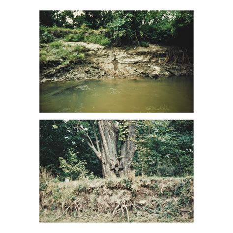 Ana Mendieta Untitled Silueta Series Mutualart