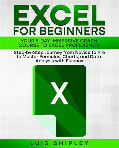 excel for beginners your 5 day immersive crash course to desertcart