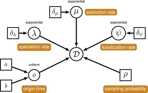 Revbayes Macroevolutionary Analysis Of Stratigraphic Range Data