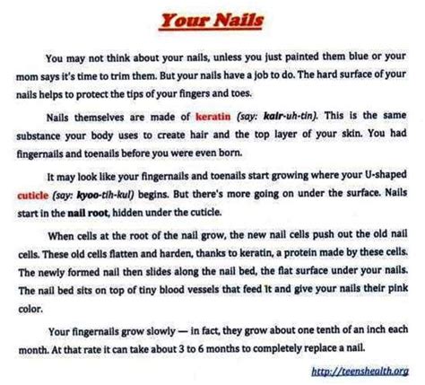 6 2 Компютърна обработка на текстове Ms Word 2010 Информационни технологии