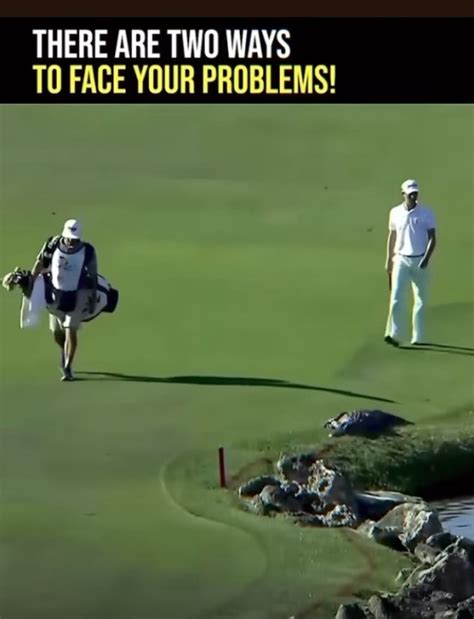 Dr Dincy Jose Posted On Linkedin