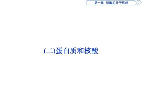 浙教版高中生物必修一课件第1章蛋白质和核酸 word文档在线阅读与下载 无忧文档
