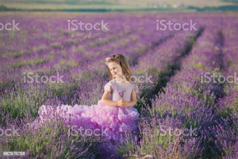 라벤더 밭에 무성 한 아름 다운 보라색 드레스에서 소녀 무성 한 라일락 드레스 달콤한 소녀입니다 라벤더 밭에 달콤한 소녀 귀여운에 대한 스톡 사진 및 기타 이미지 Istock