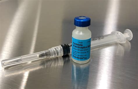 Do Dogs Need Bronchi Shield Oral Vaccine