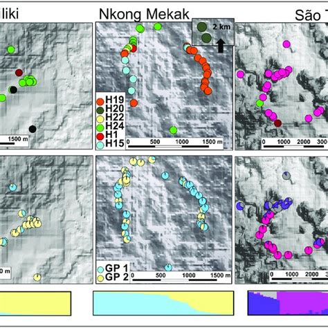 Fine Scale Spatial Genetic Structure In African Populations Of Download Scientific Diagram